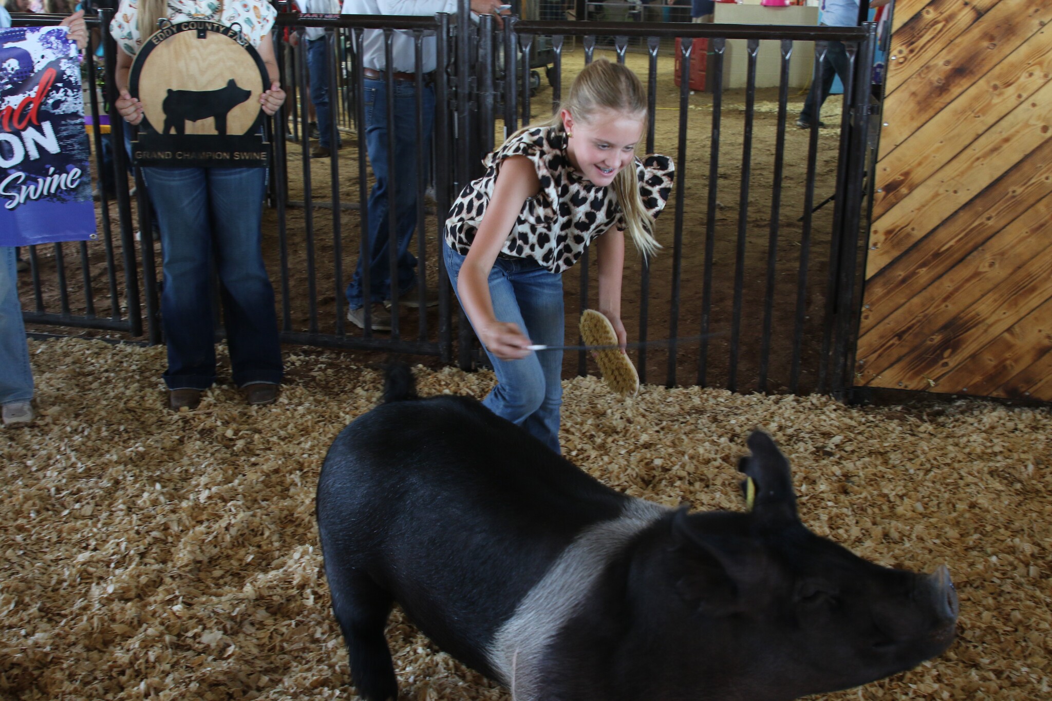 Eddy County Fair animal results - Artesia Daily Press