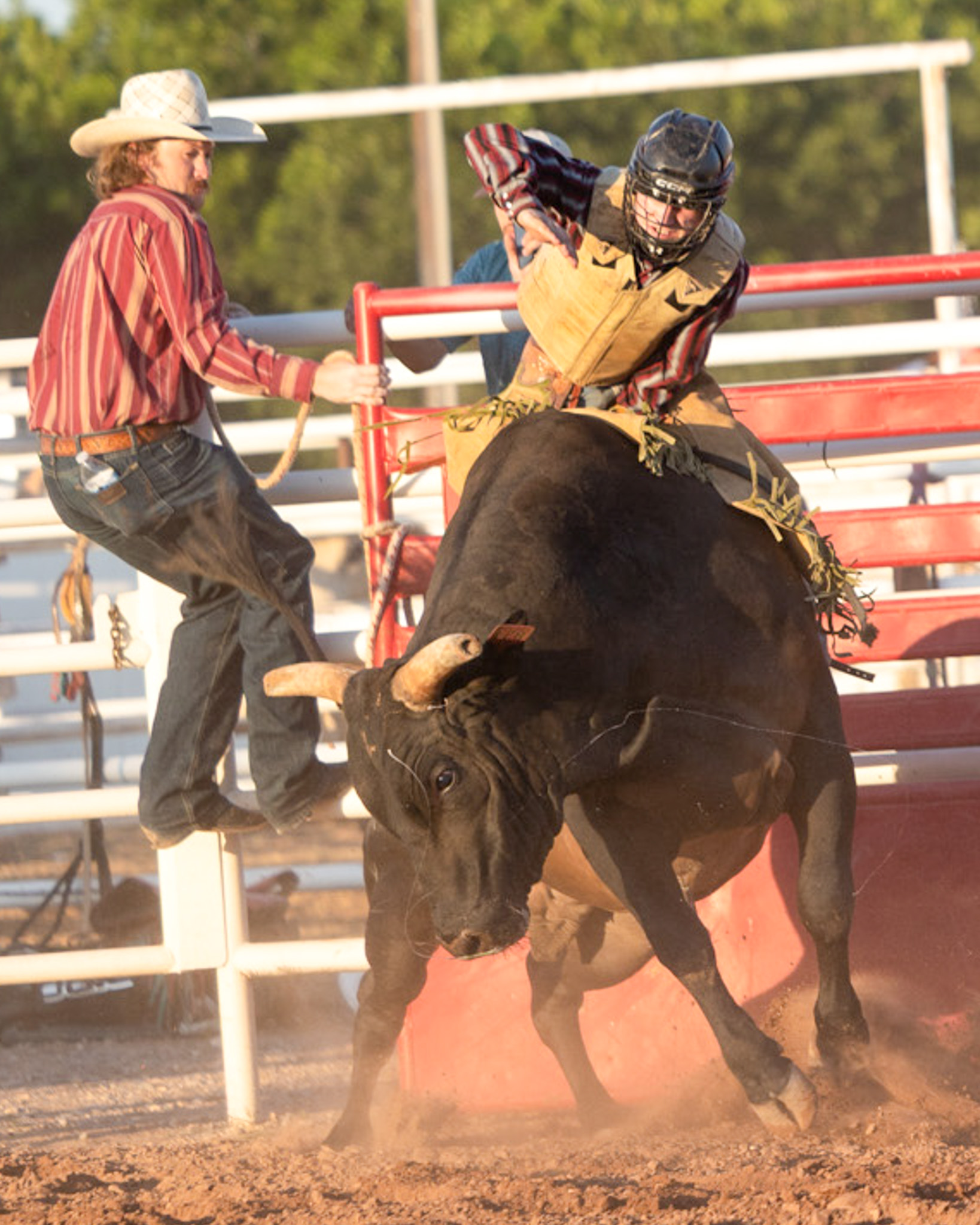 Smokin’ Hot Bull Riding is a success - Artesia Daily Press