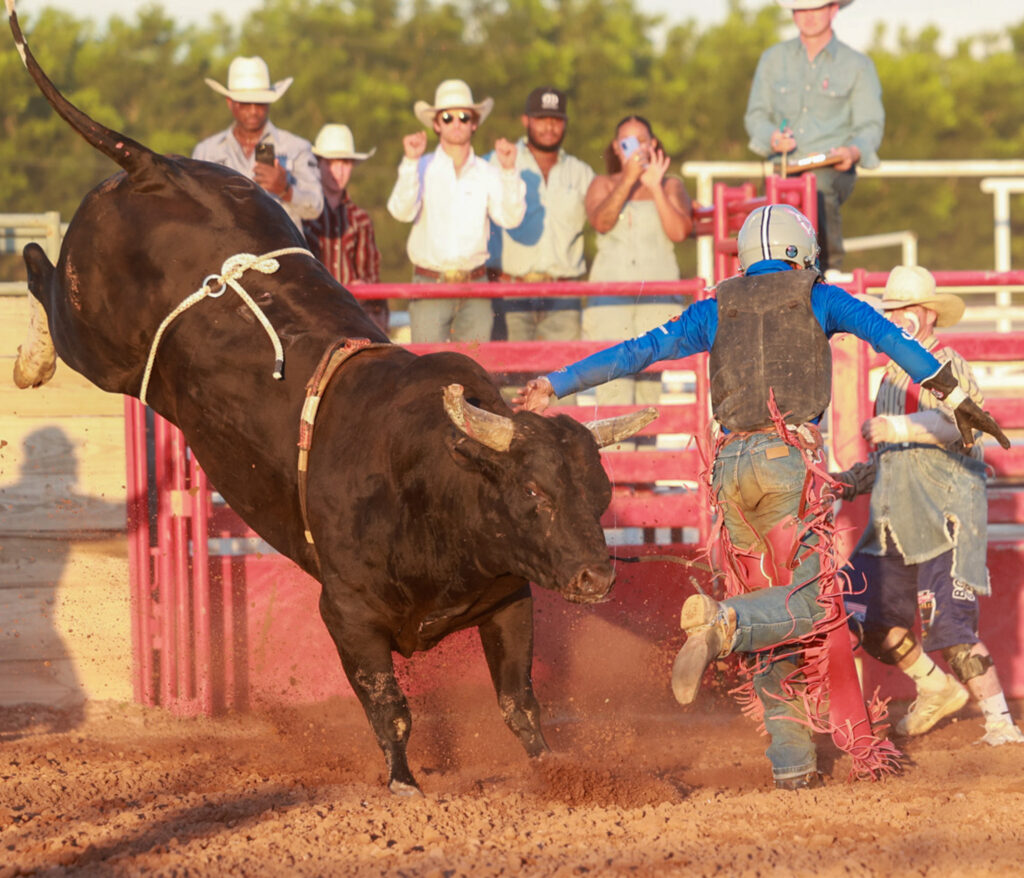 Riding of the bulls - Artesia Daily Press