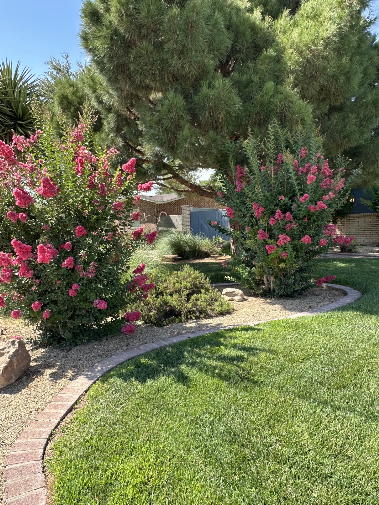Yard of Week - Artesia Daily Press